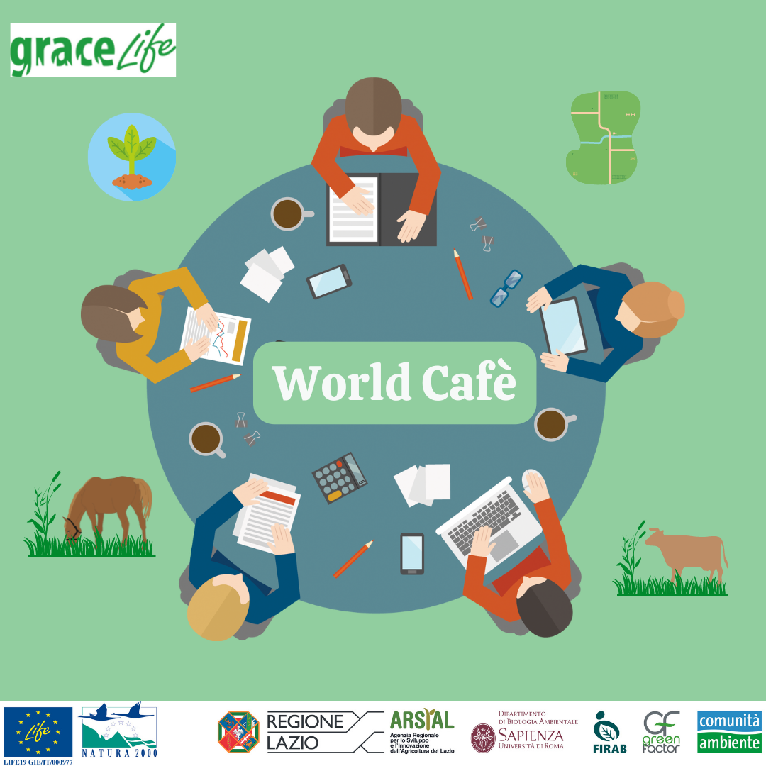 Con il primo World Cafè, Life Grace incontra allevatori e operatori dei ...